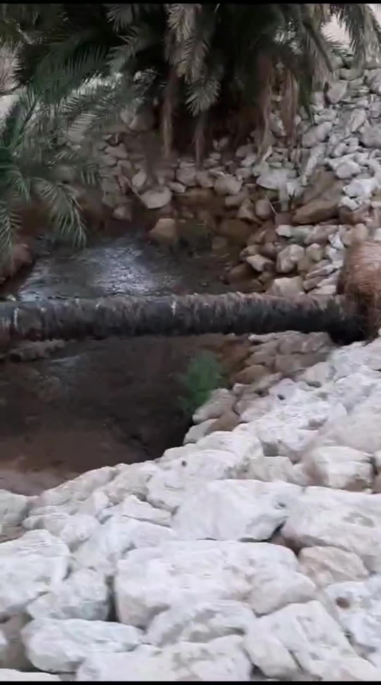 Madinah City Saudi Arabia Saaf Pani k Chashme - One News Page VIDEO