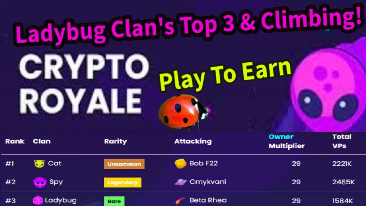 Crypto Royale / Lady Bug Clan Is Top 3 & - One News Page VIDEO