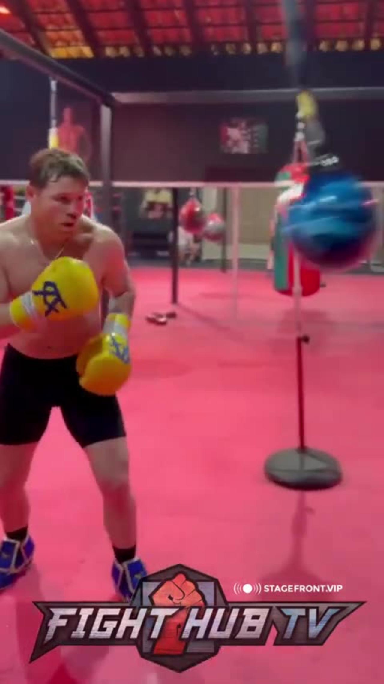 Canelo Alvarez Head Movement - One News Page VIDEO