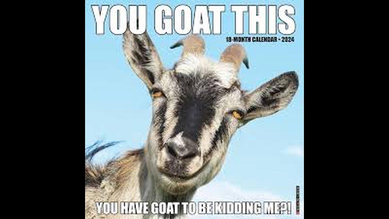 Twisted Tuesday ... If you ain't Twisted, - One News Page VIDEO