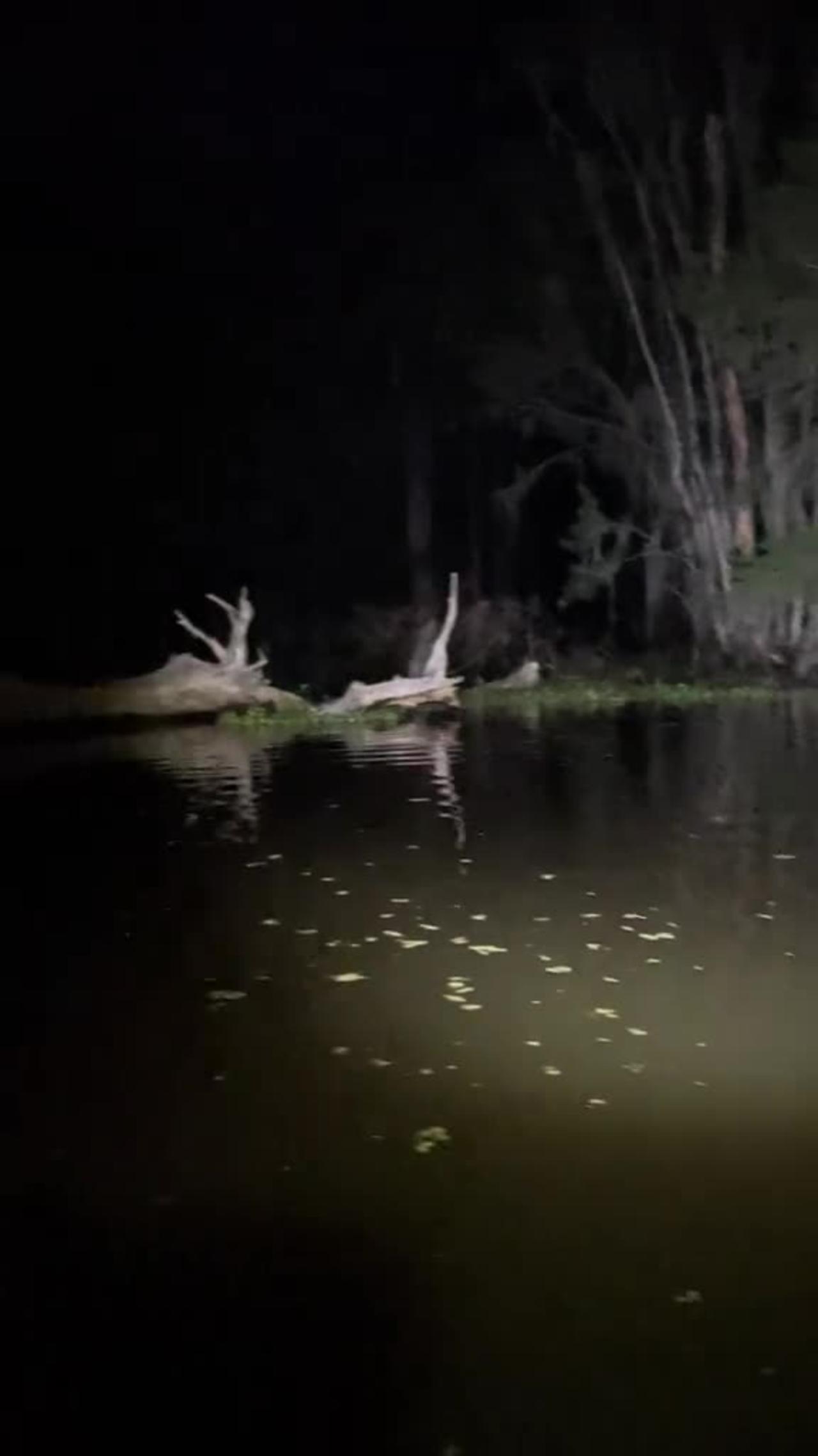 Church bells in the Louisiana swamp - One News Page VIDEO