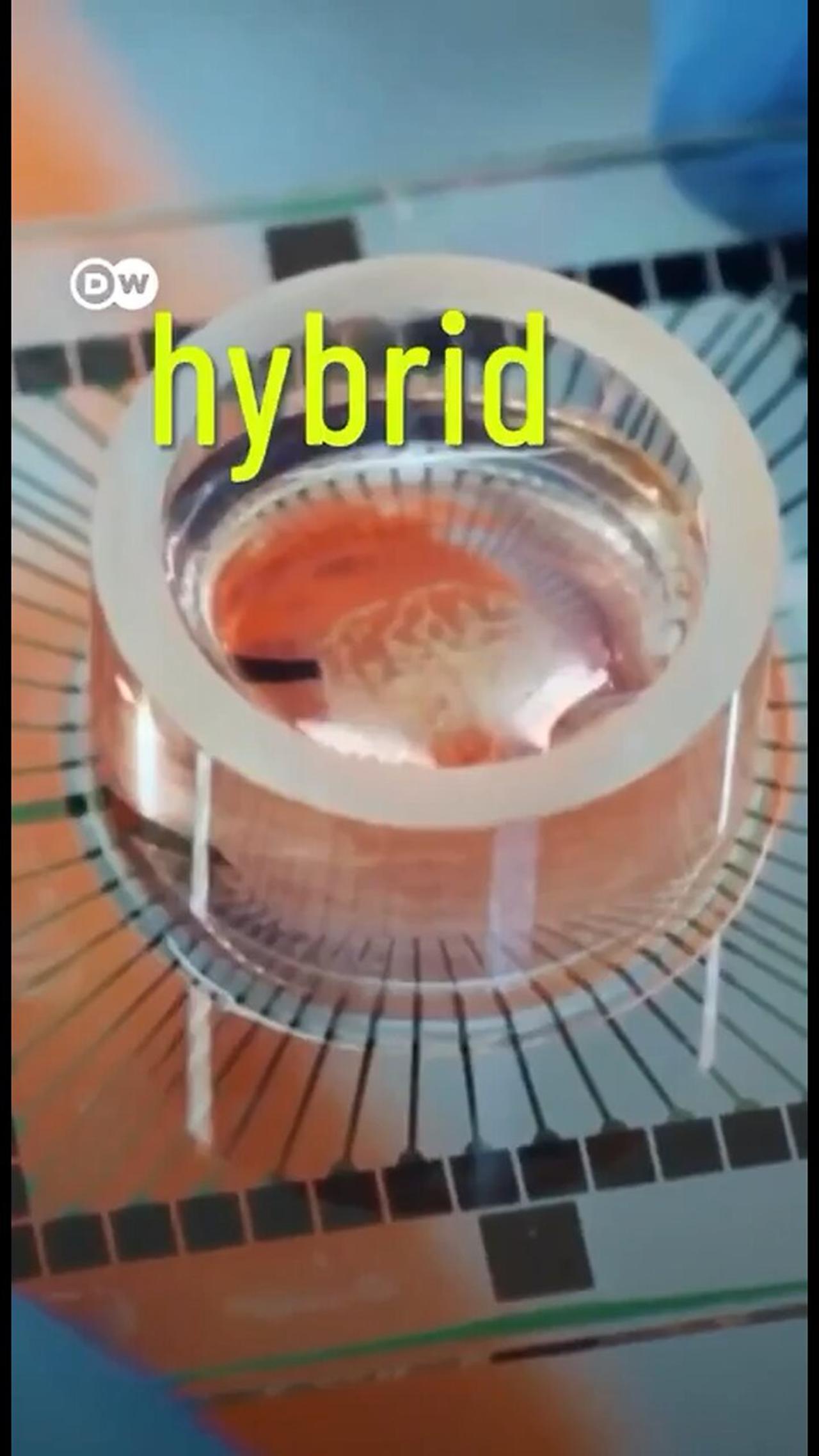 This computer chip is made with human brain 🧠 - One News Page VIDEO