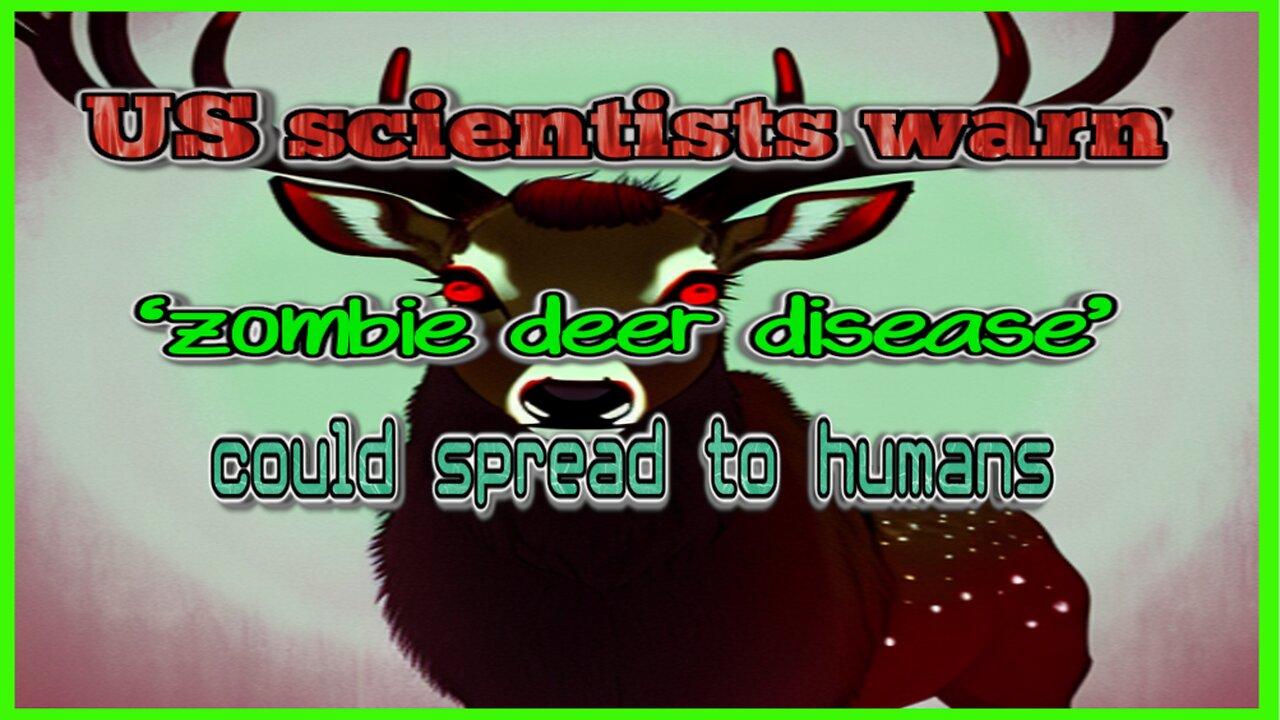 Fend For Yourself- BTWRLM557- LIVE - replay - One News Page VIDEO