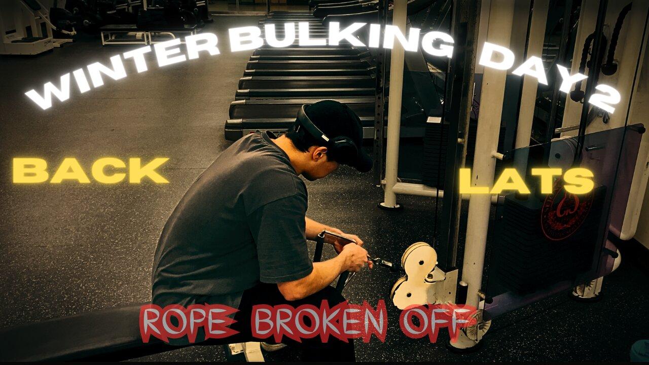Winter Bulk Day 2 - Back (Strengthen Your Back - One News Page VIDEO