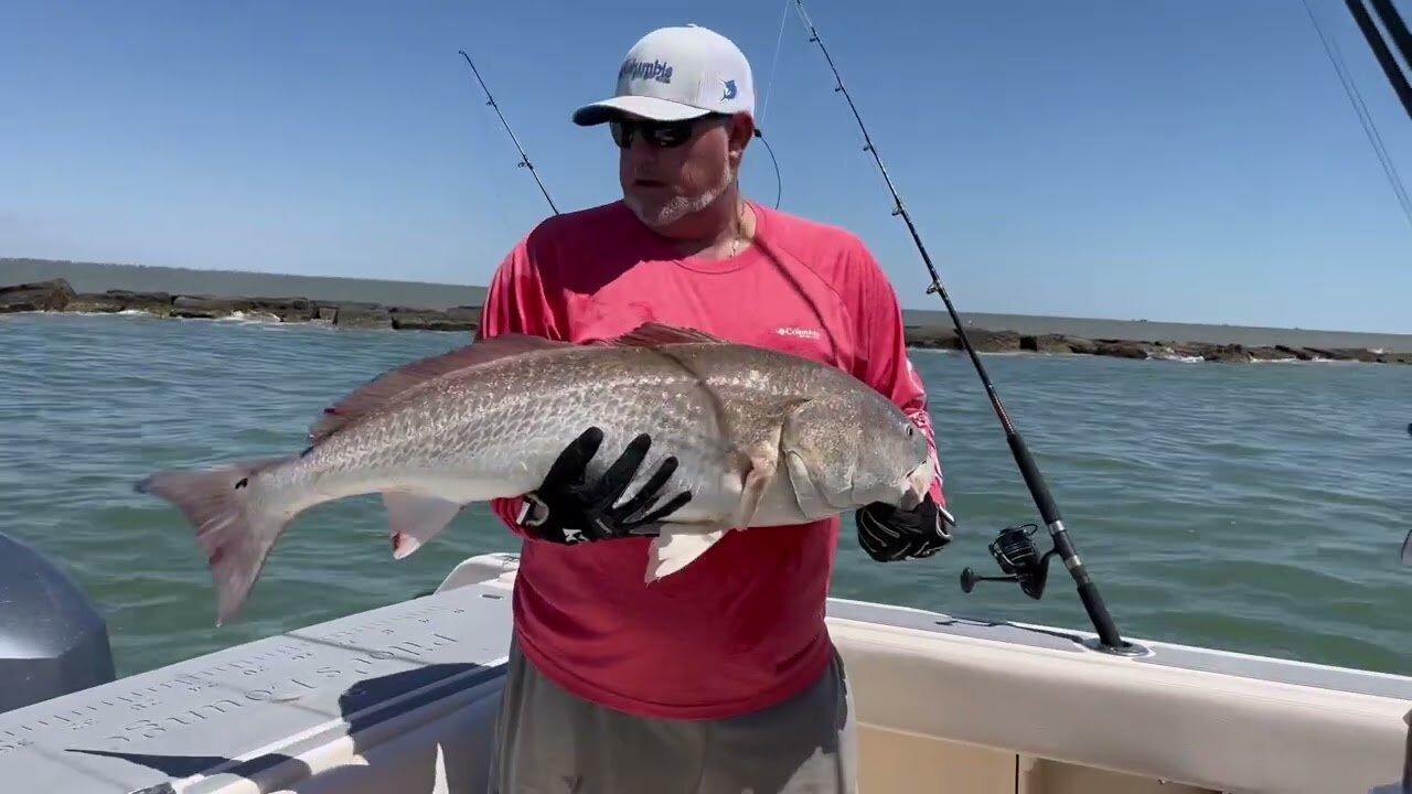 Sea fishing big fish catch - One News Page VIDEO