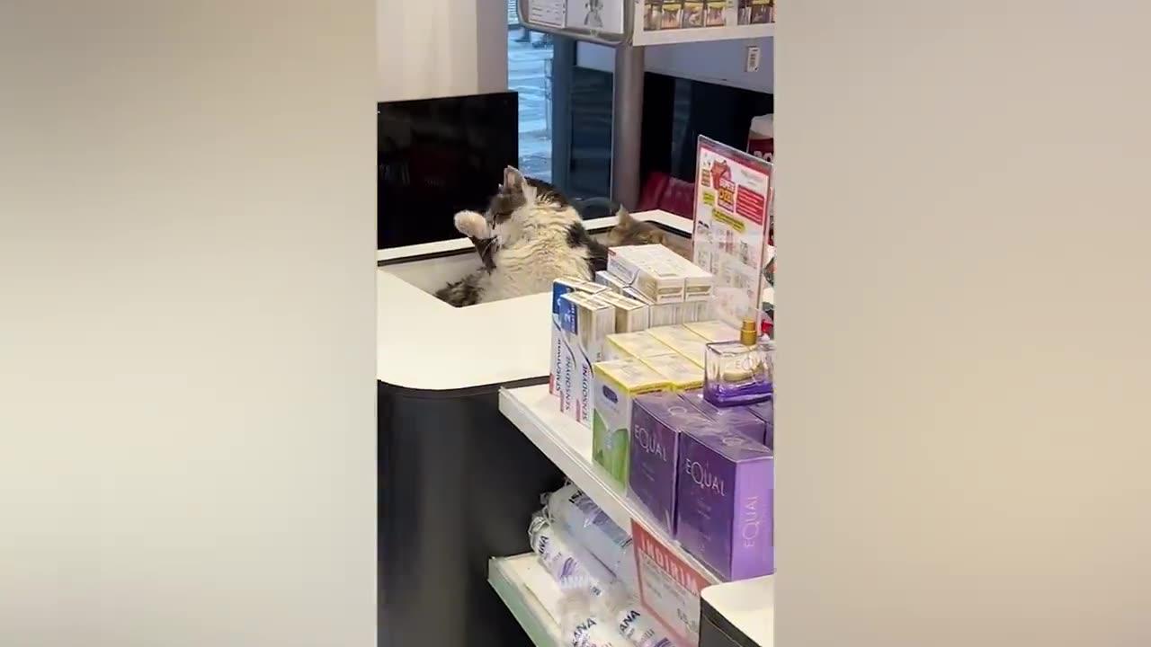 Test your limits in this hilarious challenge - One News Page VIDEO