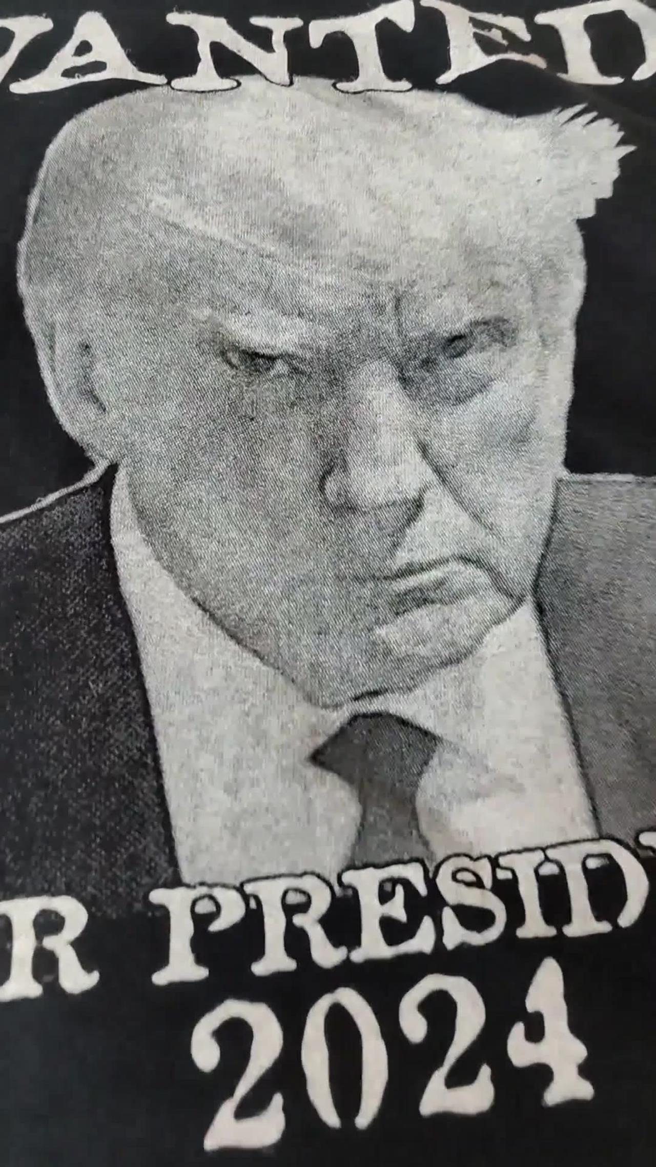 Screen Printed Donald Trump T-Shirt - One News Page VIDEO