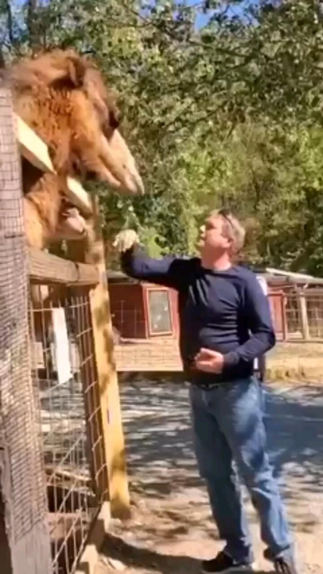 funny animals with humans😂😂 - One News Page VIDEO