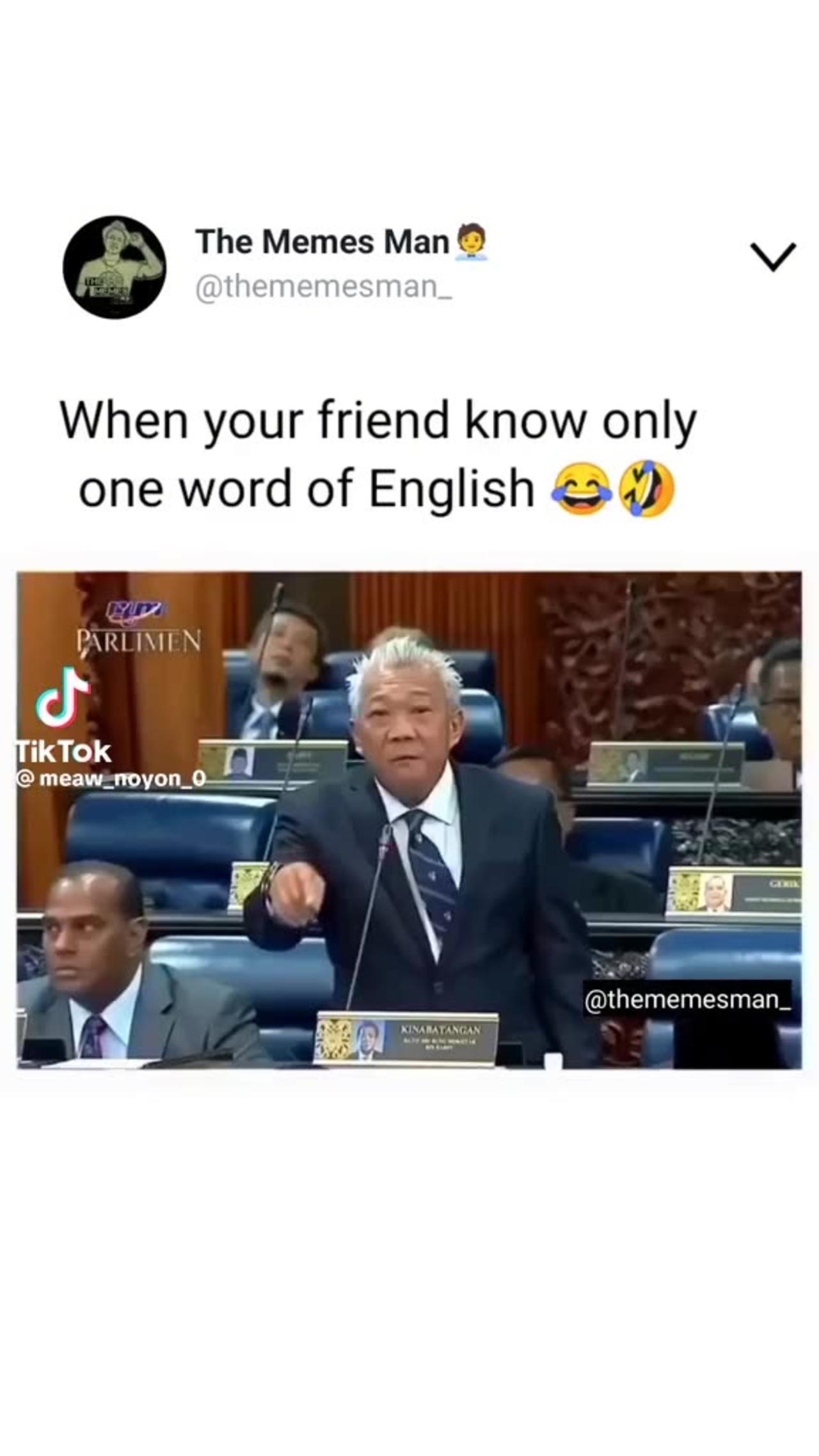 Funny mem - One News Page VIDEO