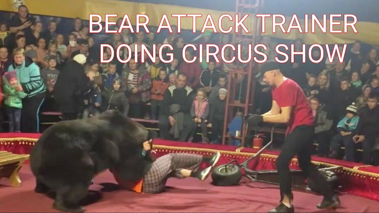 Bear Attack Trainer Doing Circles Show - One News Page VIDEO