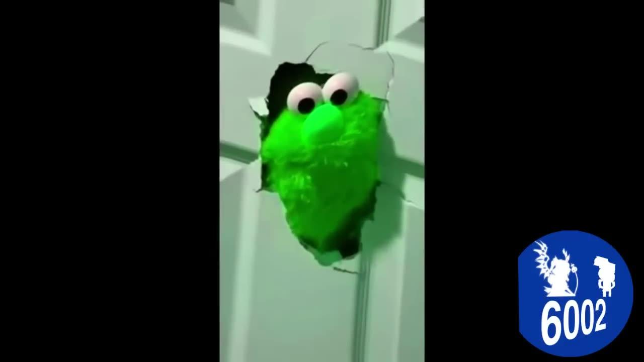 Elmo Smashes Through Door Effects (Preview 2 - One News Page VIDEO