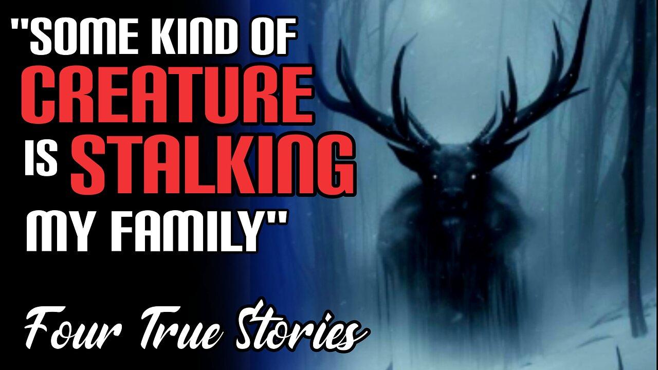 Strange Cryptid Encounters: Real Stories of - One News Page VIDEO