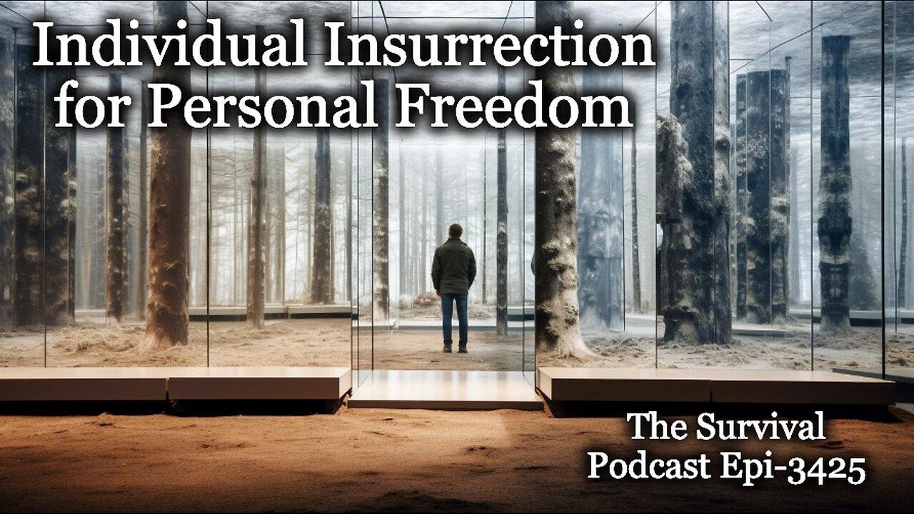 Individual Insurrection for Personal Freedom - - One News Page VIDEO
