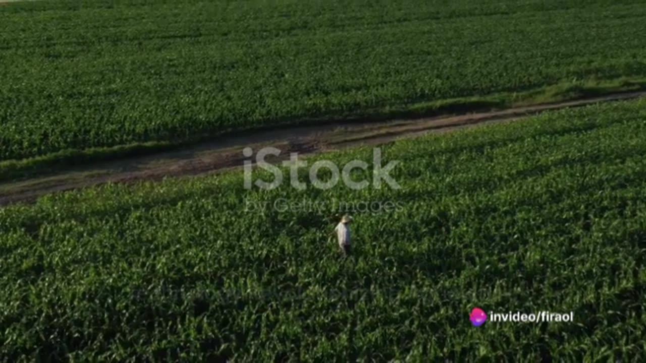 Drones: The New Age Farmers in Goa - One News Page VIDEO