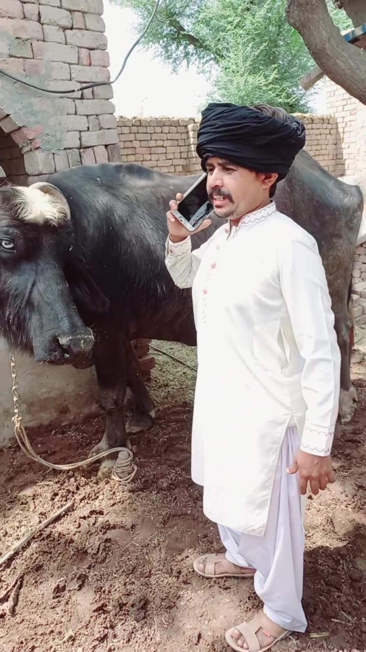 Kanjos Malik Aur Chalak Nokar | Nika Number Daar - One News Page VIDEO