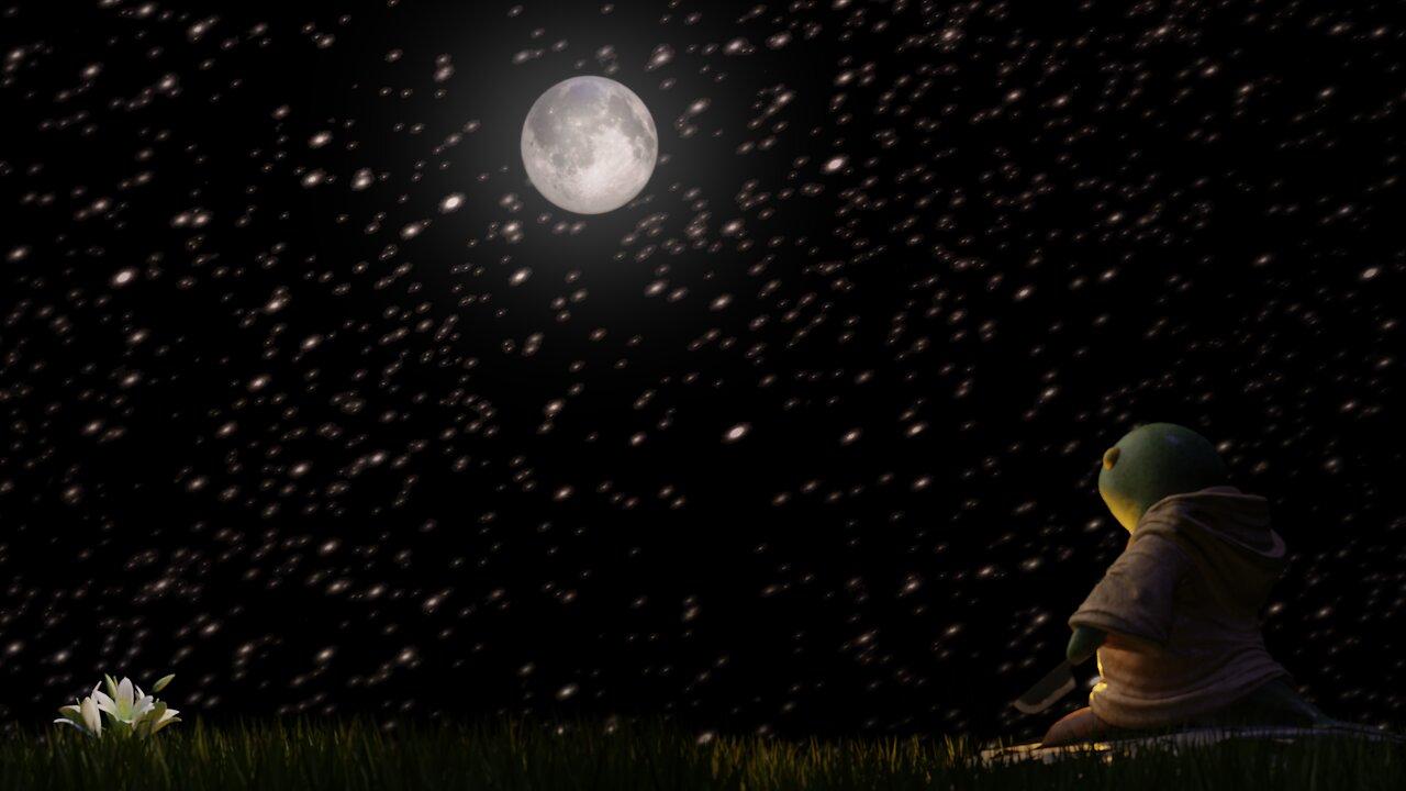 Thicc Company - One News Page VIDEO