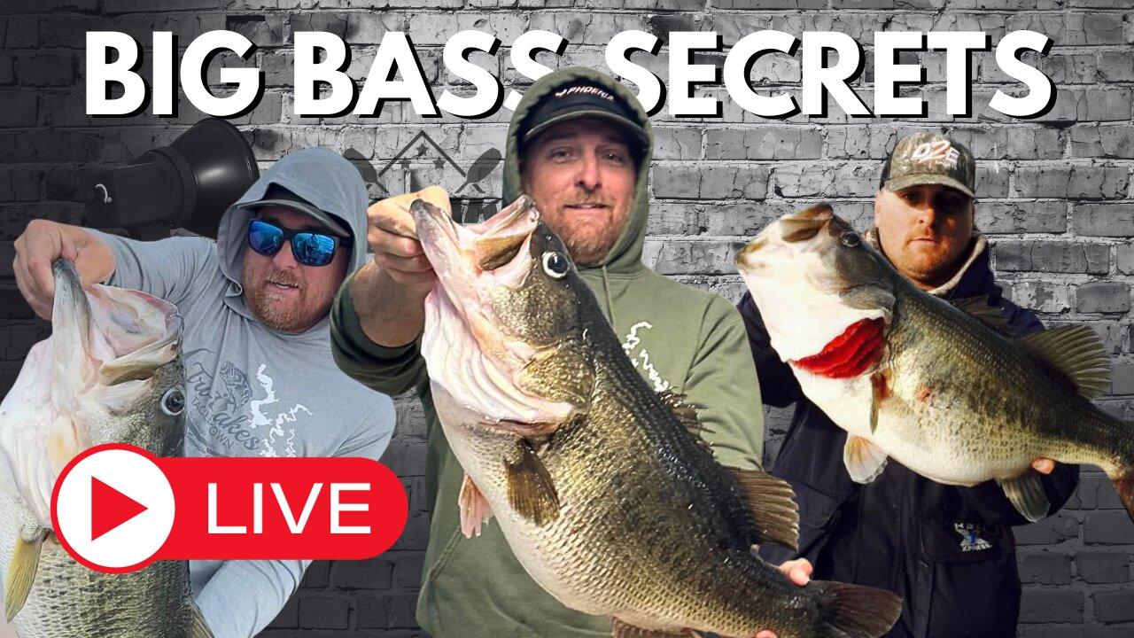 Catch the biggest bass of your life - One News Page VIDEO