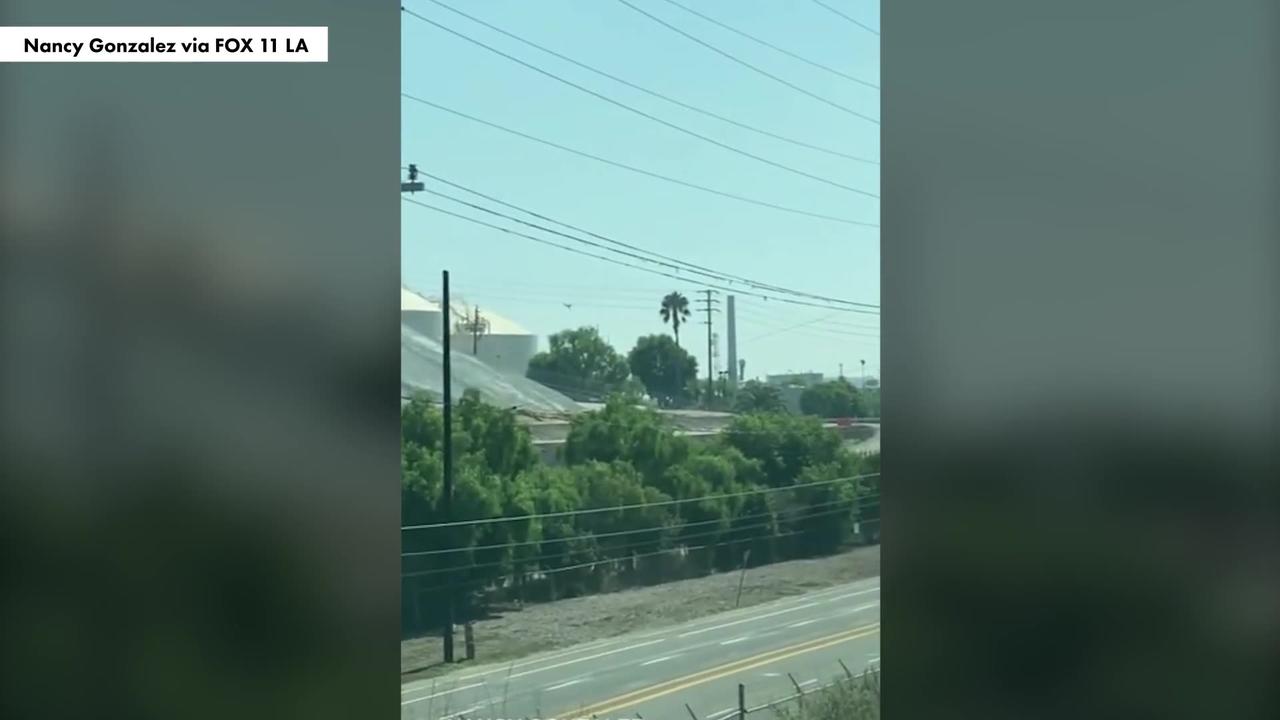 'Speed Racer' actor Christian Oliver, - One News Page VIDEO