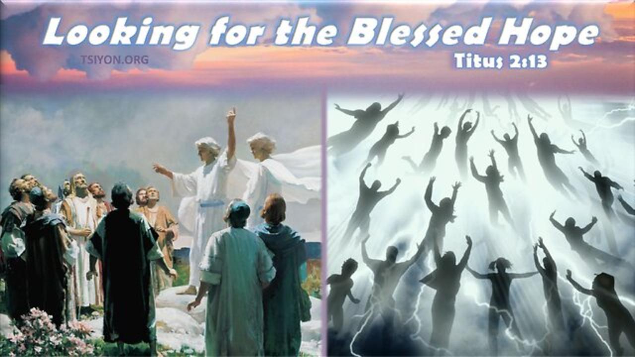 Looking for the Blessed Hope - Titus 2:13 - One News Page VIDEO