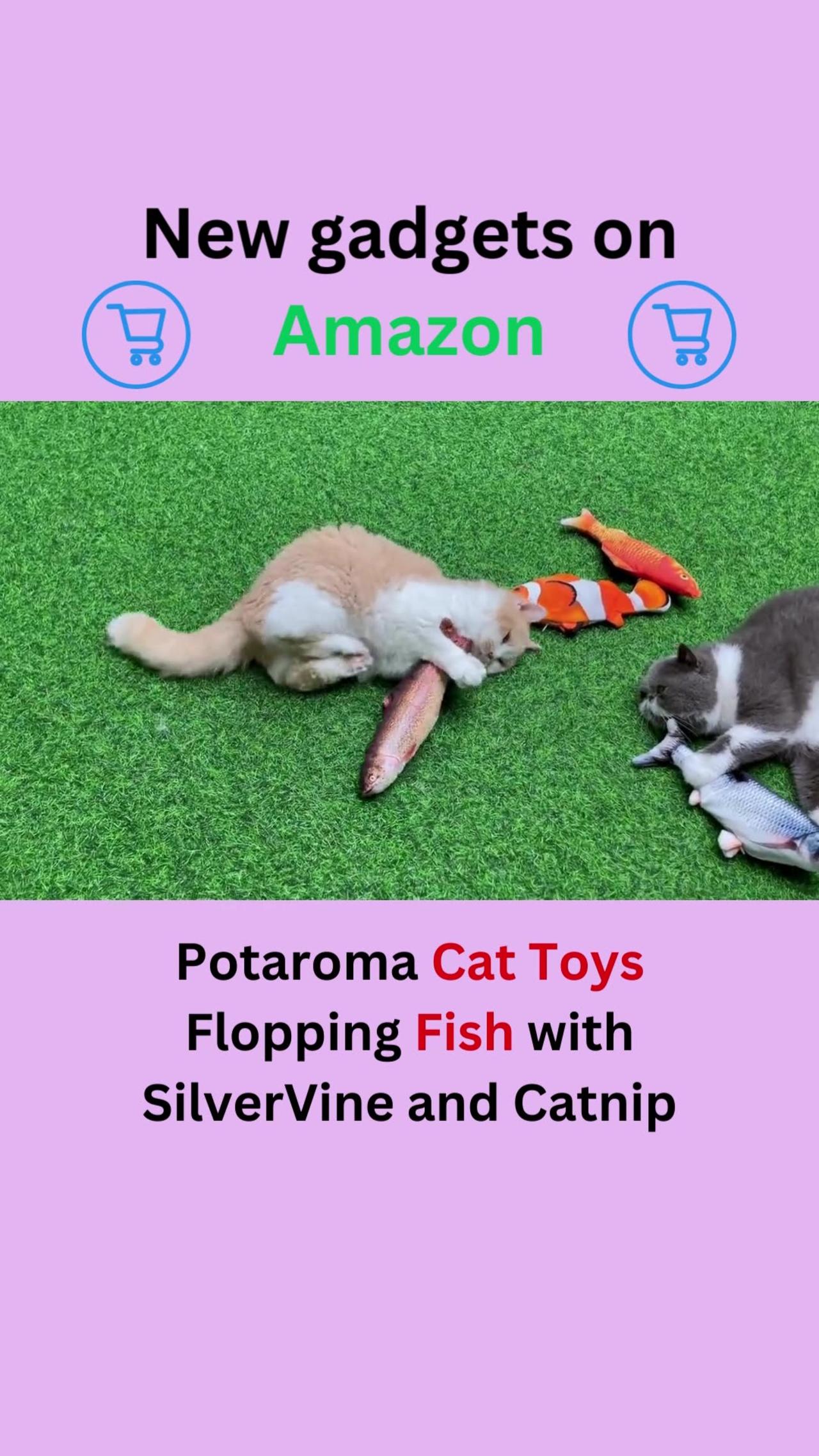 Potaroma Cat Toys Flopping Fish with SilverVine - One News Page VIDEO