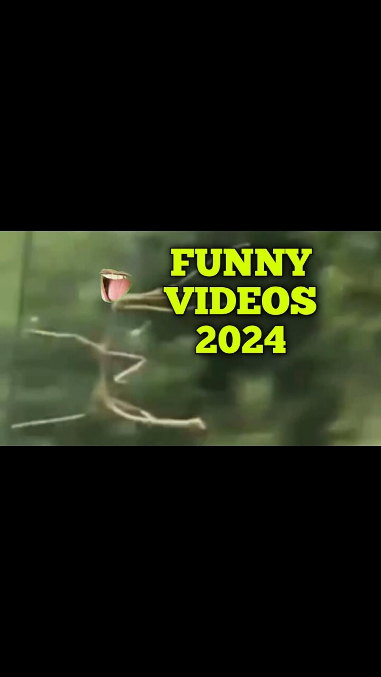 Funny videos 2024 - One News Page VIDEO