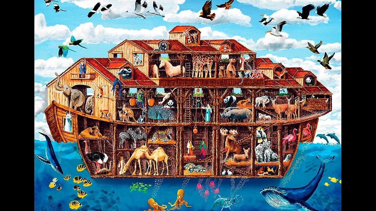 Potatos Ark - New season new paradigm - stay - One News Page VIDEO