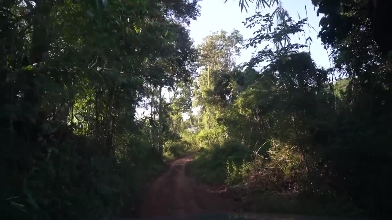 Surviving 3 Days Using Only 1 PESO (THAILAND - One News Page VIDEO Surviving 3 Days Using Only 1 PESO (THAILAND - One News Page VIDEO