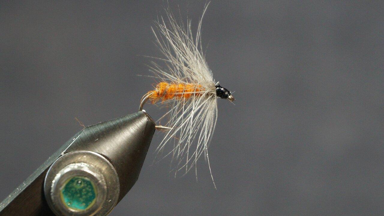 Ashy (from Favorite Flies by Mary Orvis Marbury) - One News Page VIDEO