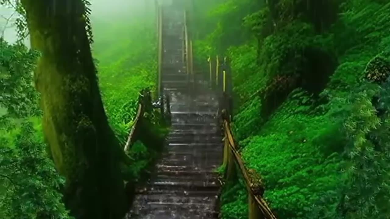 Relaxing Music For Stress Relief, Anxiety and - One News Page VIDEO