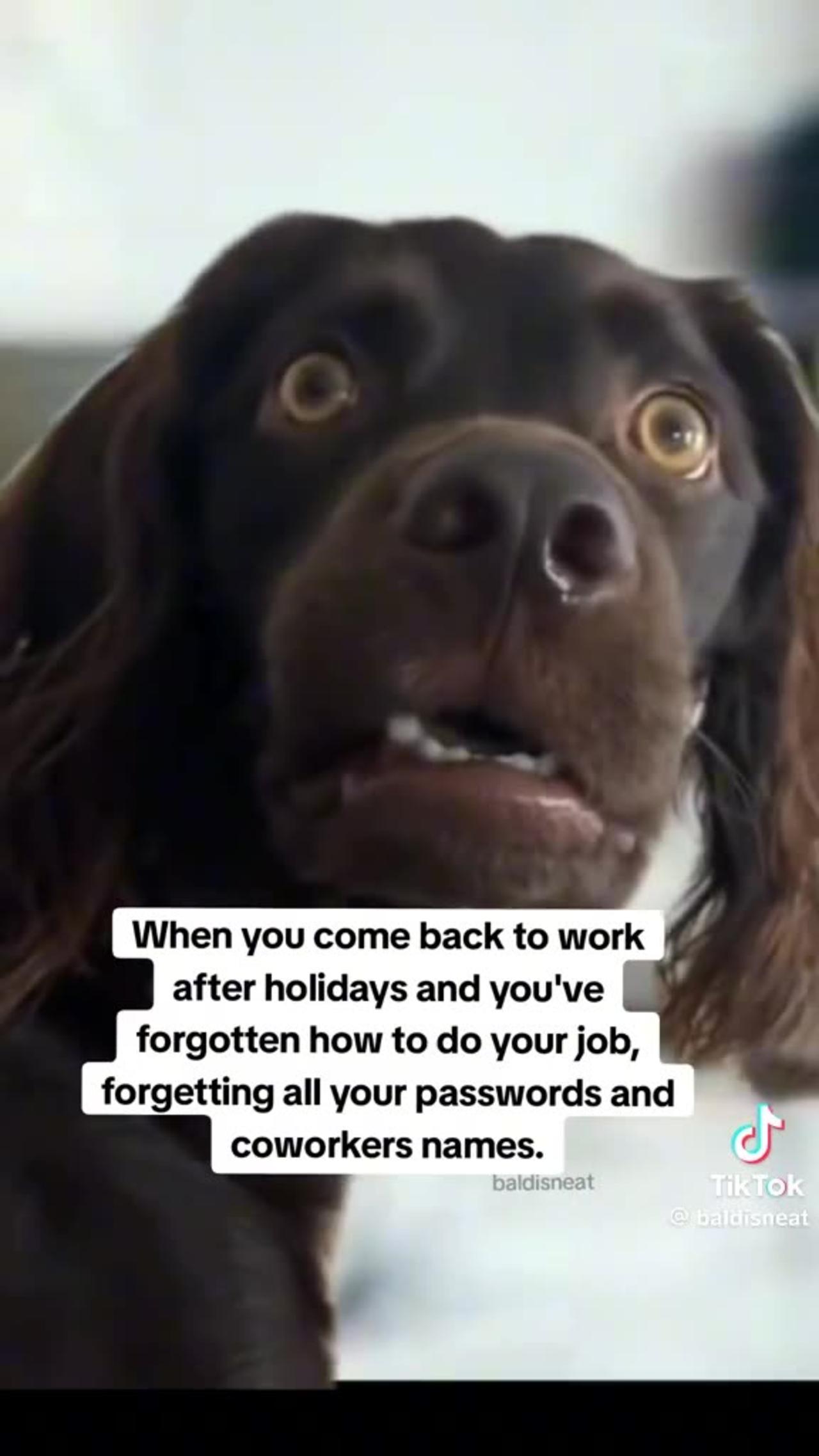 WHEN U COME BACK TO WORK AFTER THE HOLIDAY AND - One News Page VIDEO