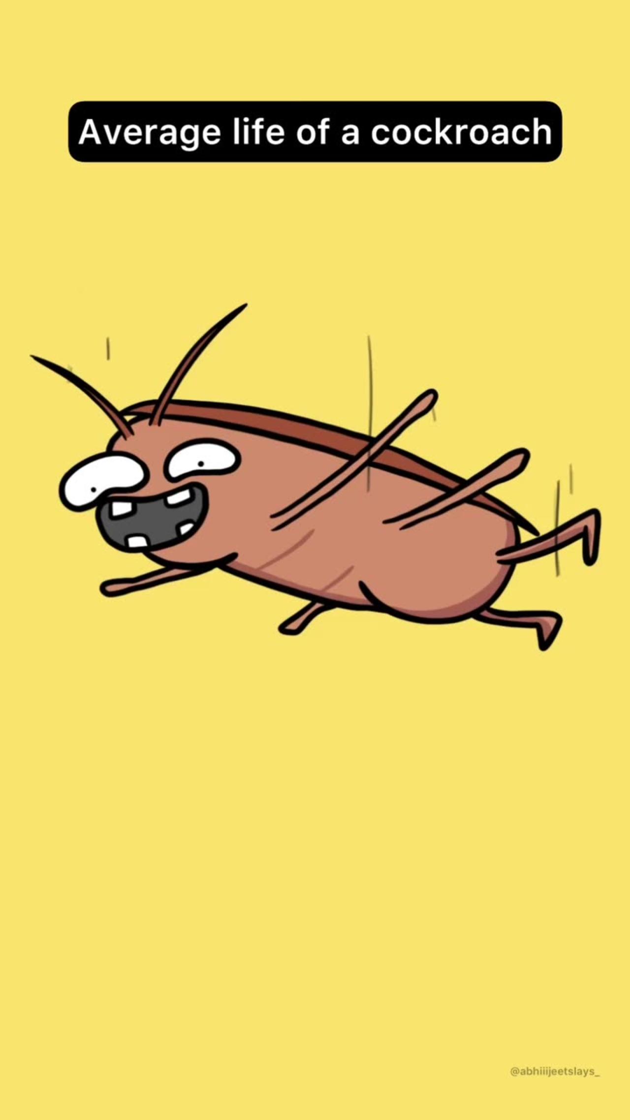 This cockroach is a sigma bro 😎 - One News Page VIDEO