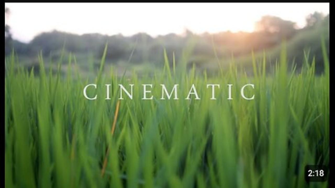 2K Nature Cinematography | Cinematic Background - One News Page VIDEO