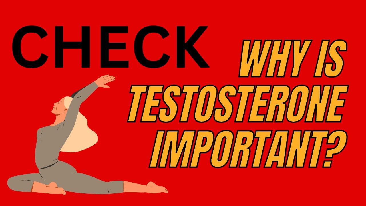 Why Is Testosterone Important? - One News Page VIDEO