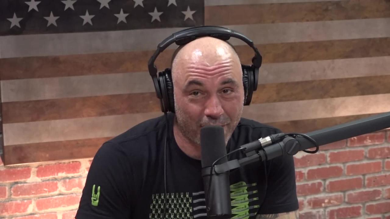 Joe Rogan Experience #1407 - Michael Malice - One News Page VIDEO