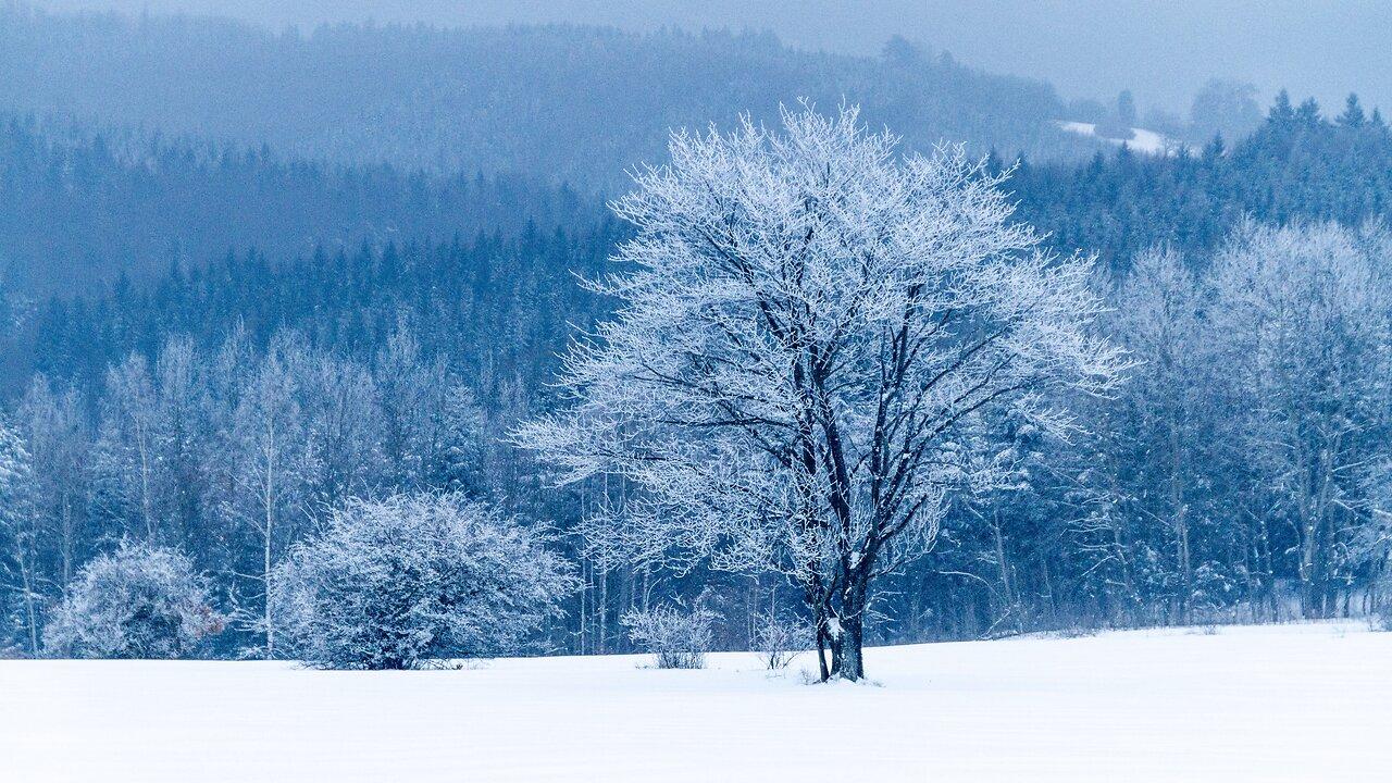 Friday Snow... "Let's watch it - One News Page VIDEO