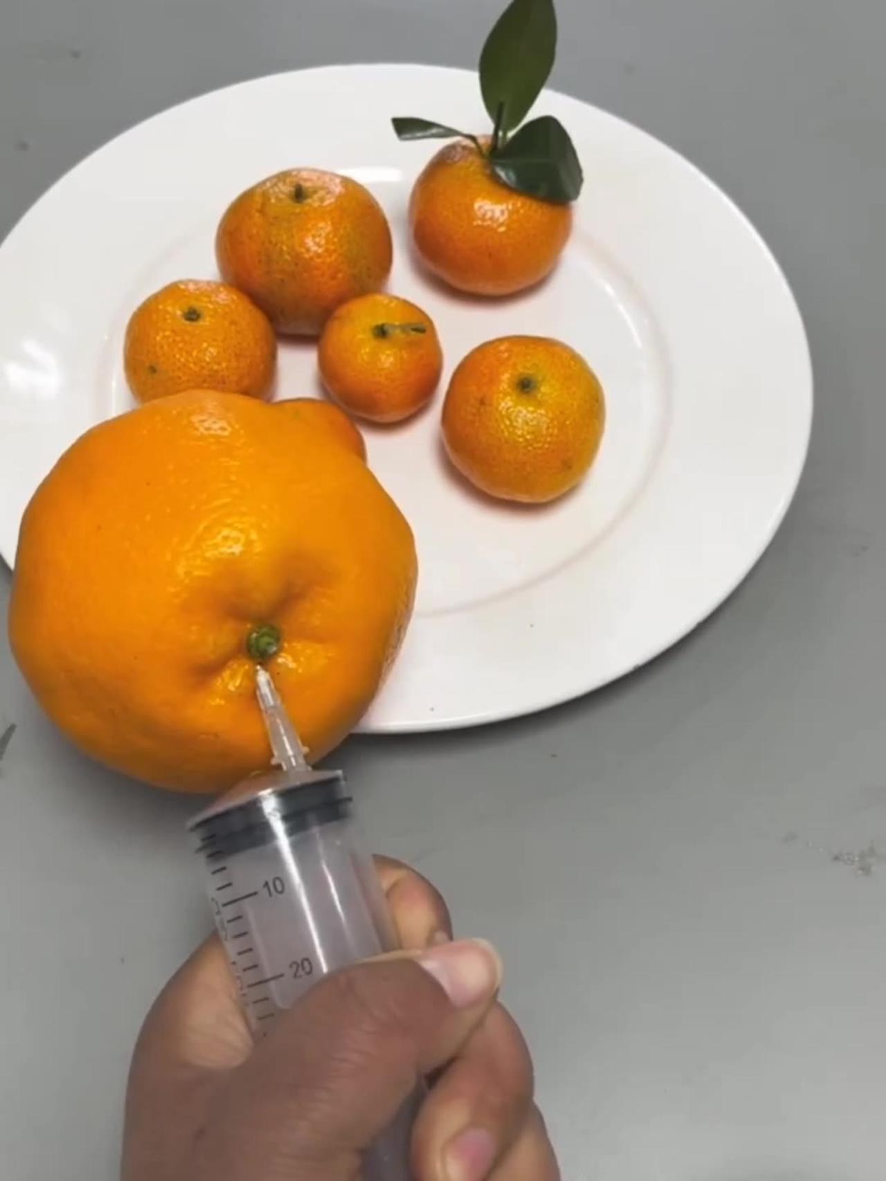 Orange Small to big by the injection - One News Page VIDEO