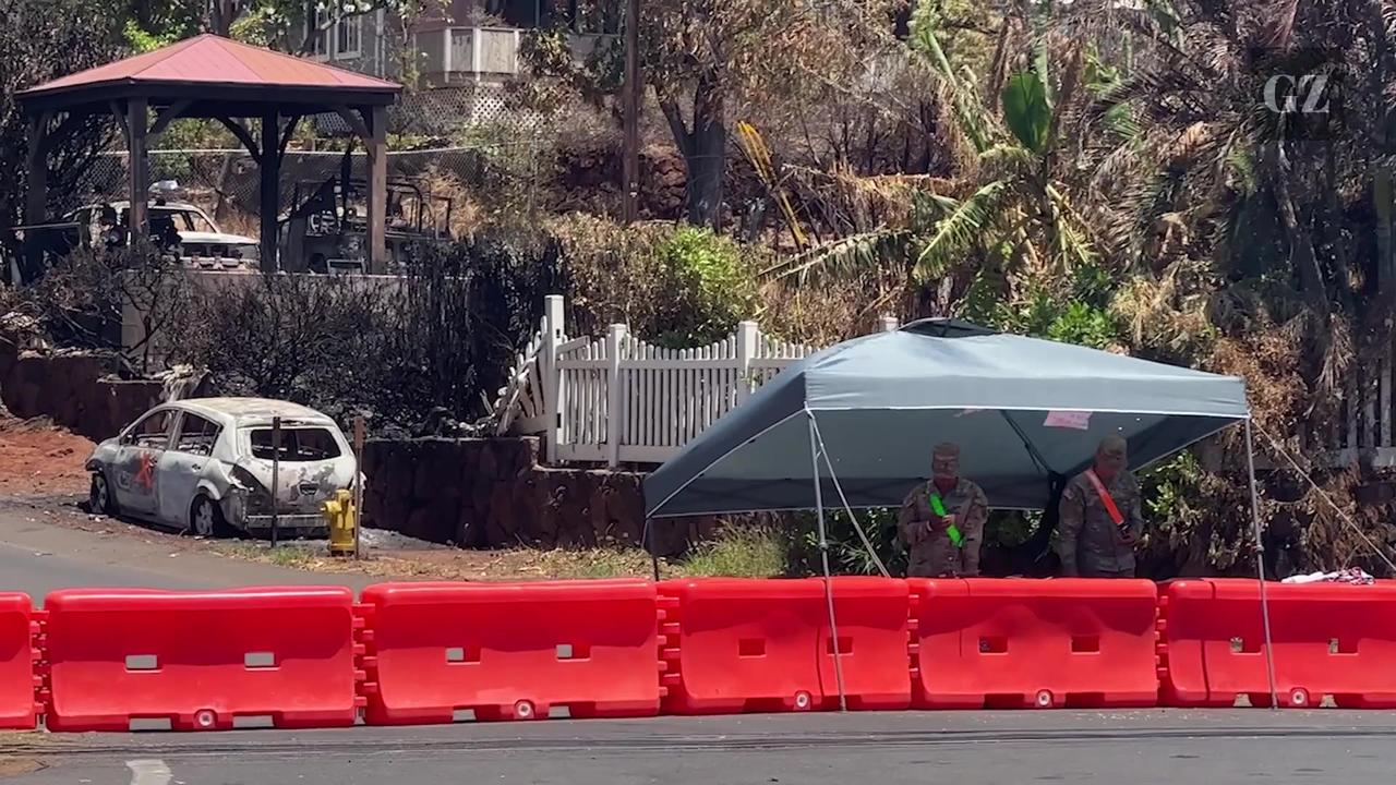 The Looting of Lahaina The Greyzone - One News Page VIDEO