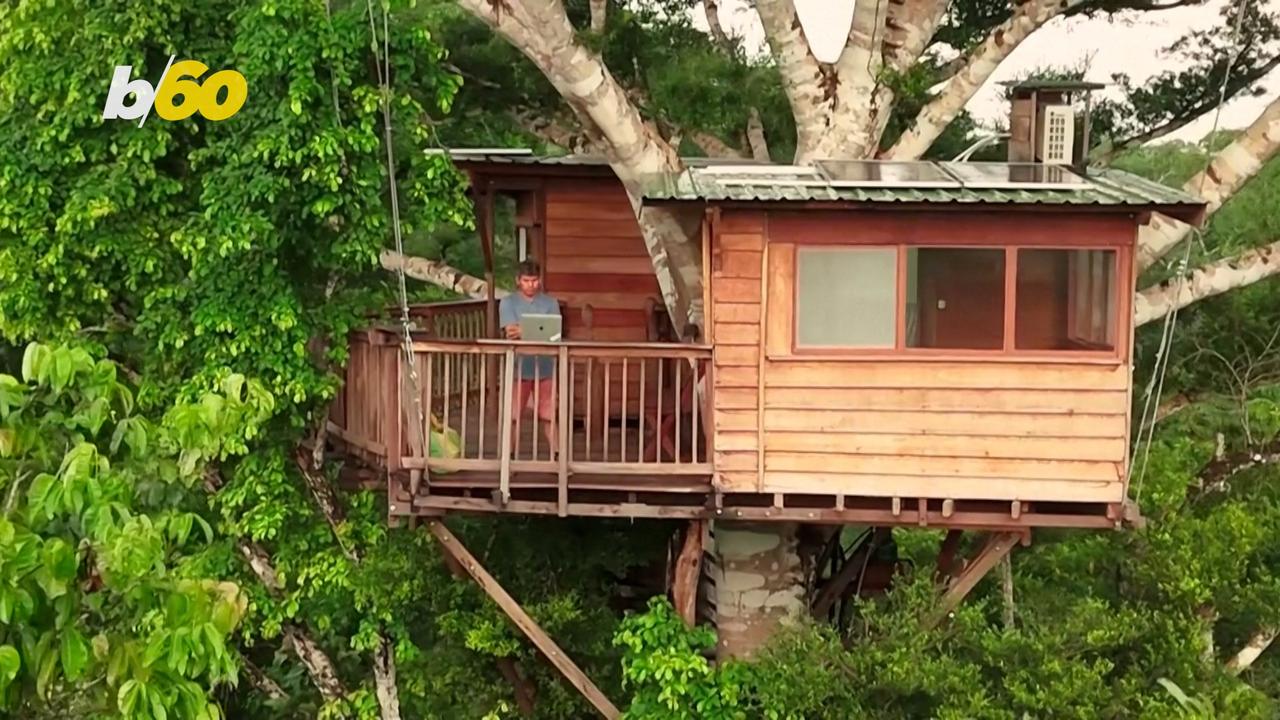 Amazing ‘Treehouse Classroom’ Built Deep In - One News Page VIDEO
