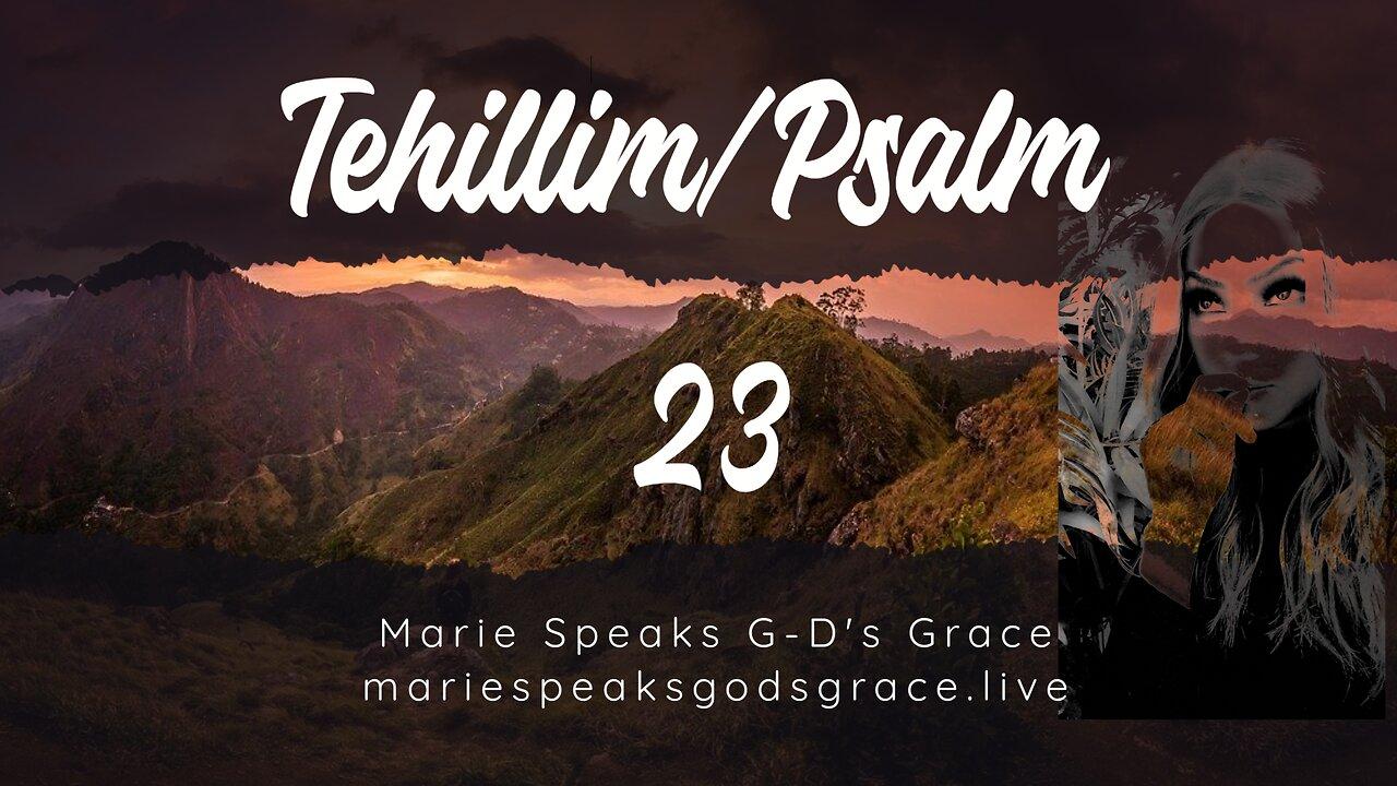 Live The power of #Prayer: Tehillim / Psalm 23 - One News Page VIDEO