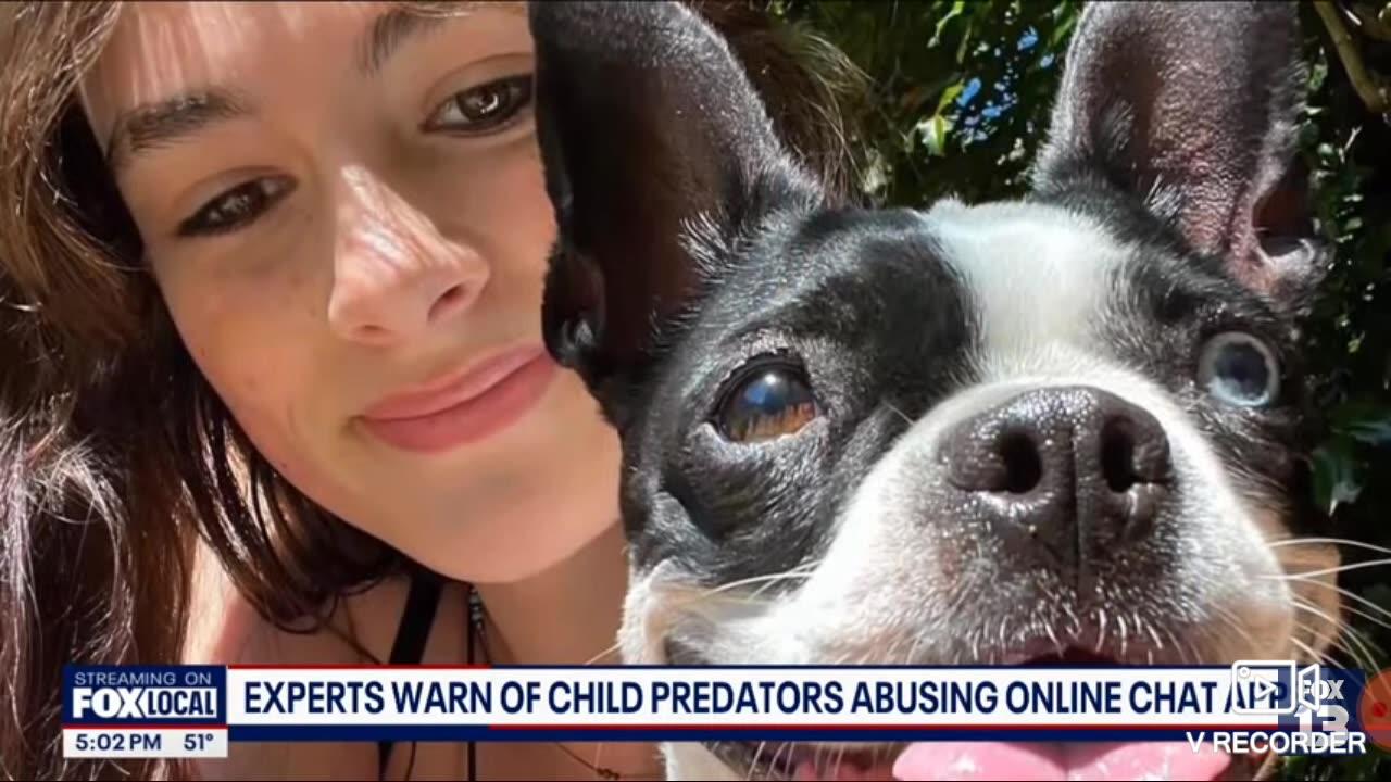 Experts Warn of Child Predators Online Chats - One News Page VIDEO