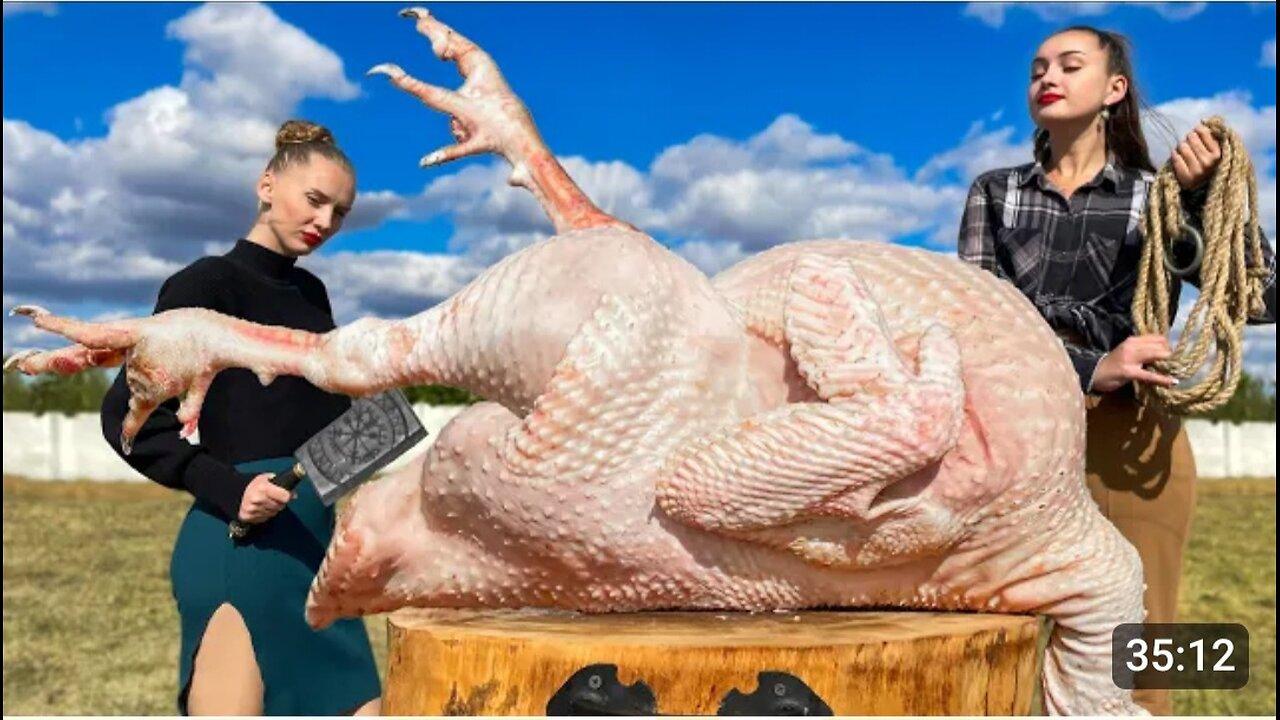 This Turkey Is Bigger Than an Ostrich! 25KG - One News Page VIDEO