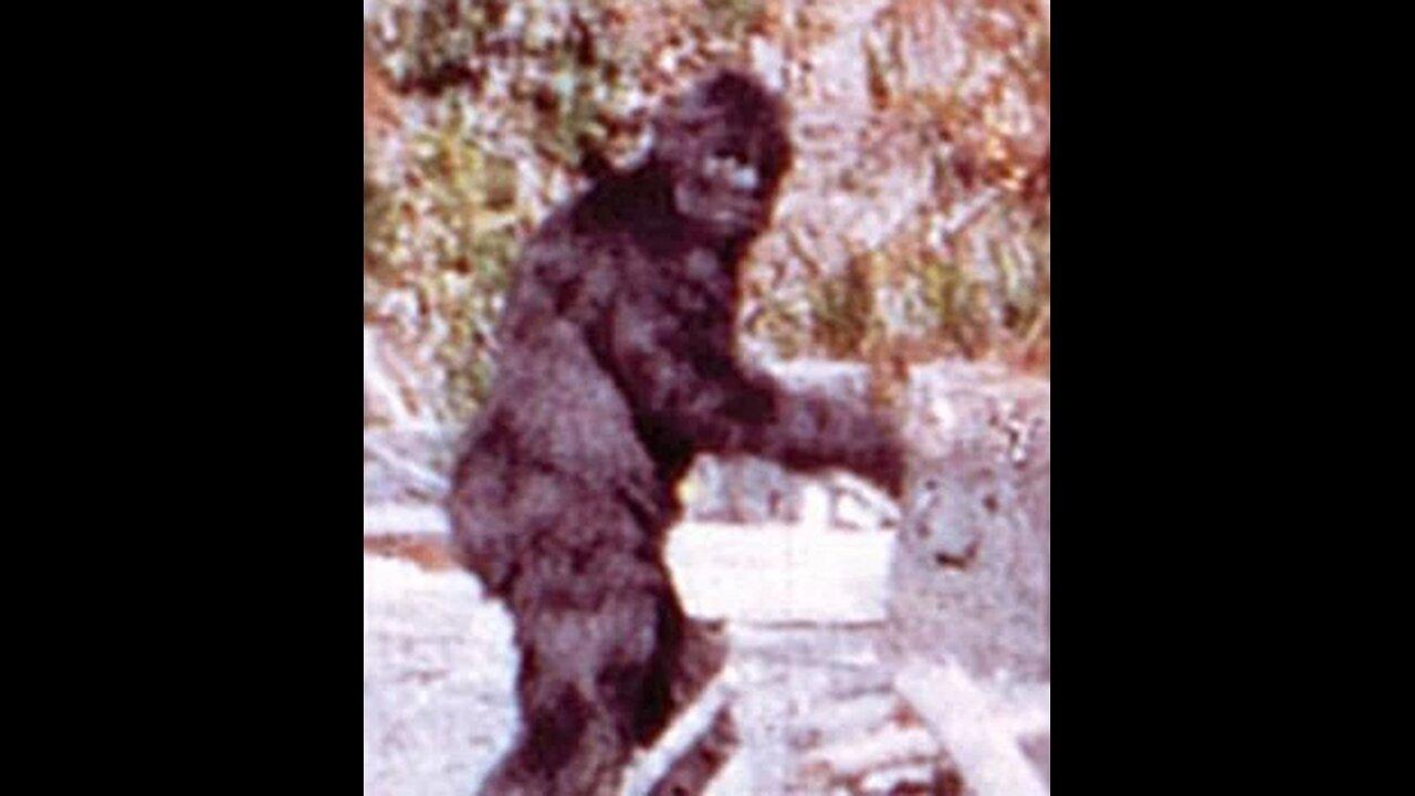 The Bigfoot and The Big Blue Man - One News Page VIDEO