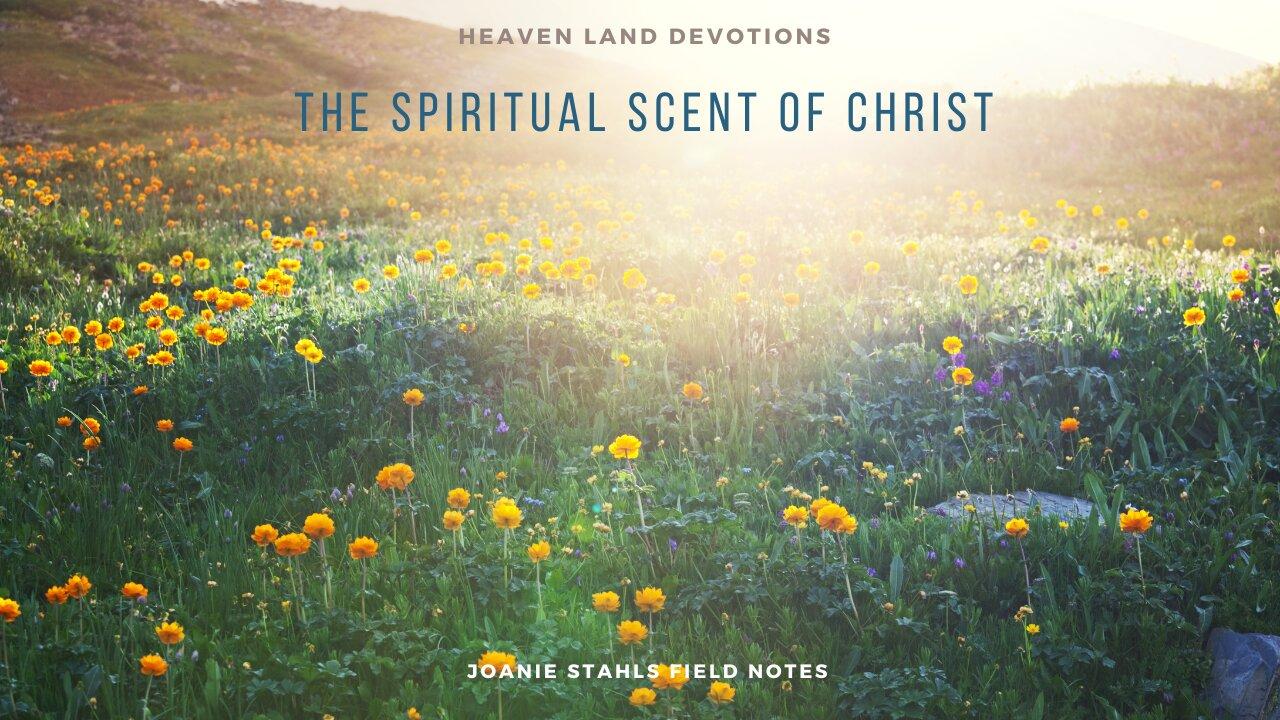 Heaven Land Devotions - The Spiritual Scent of - One News Page VIDEO