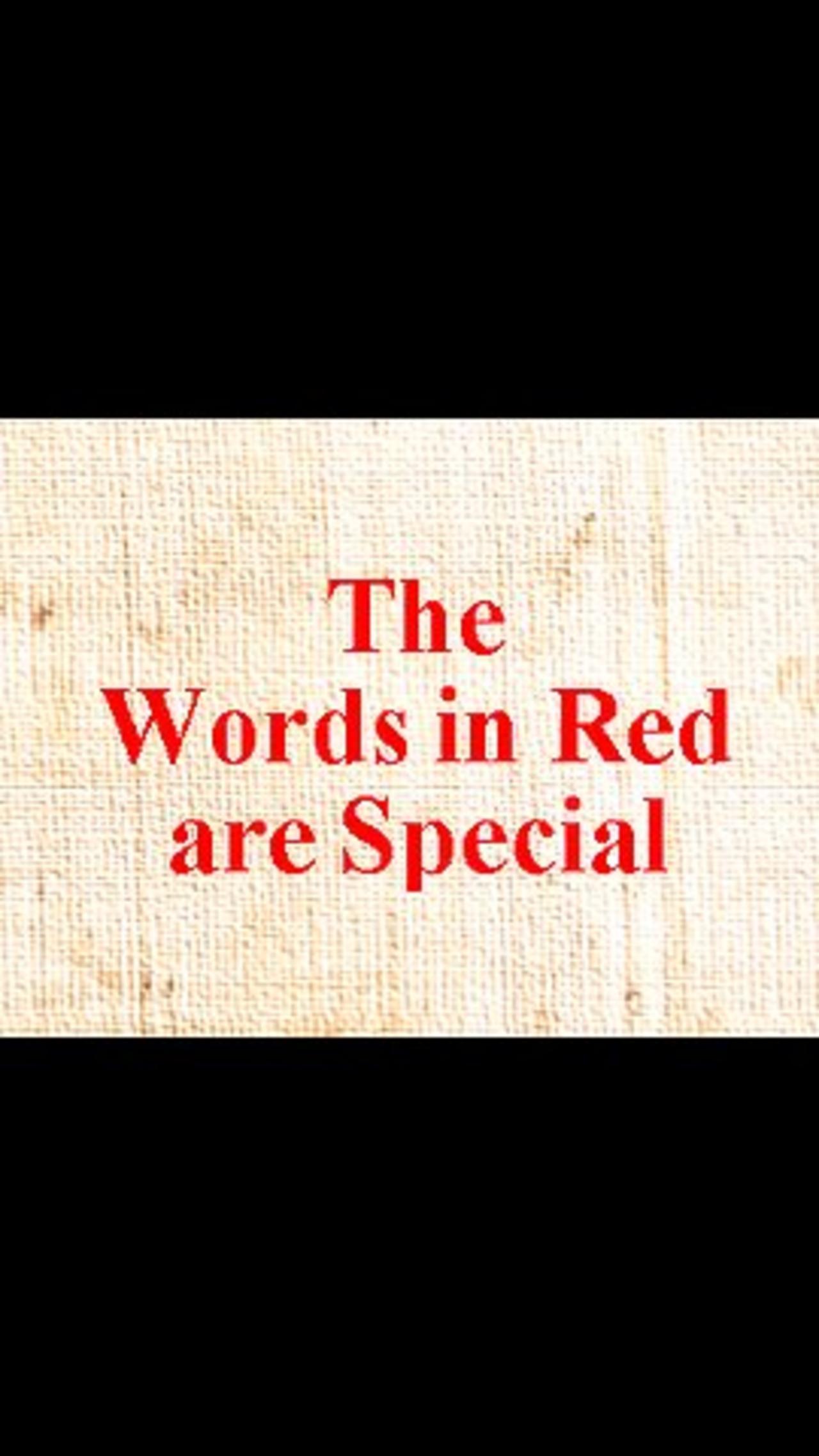 the words in red are special - One News Page VIDEO