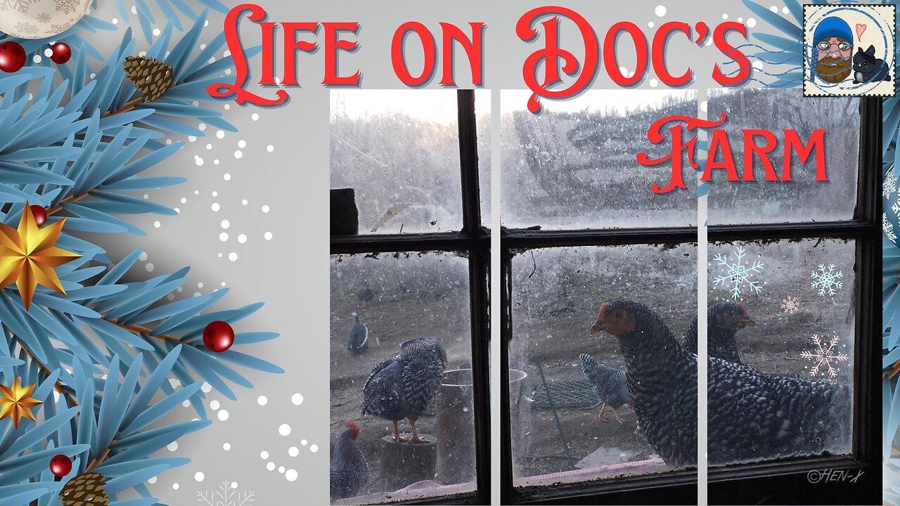 Life on Doc's Farm : Mavis Institute 🎵 - One News Page VIDEO