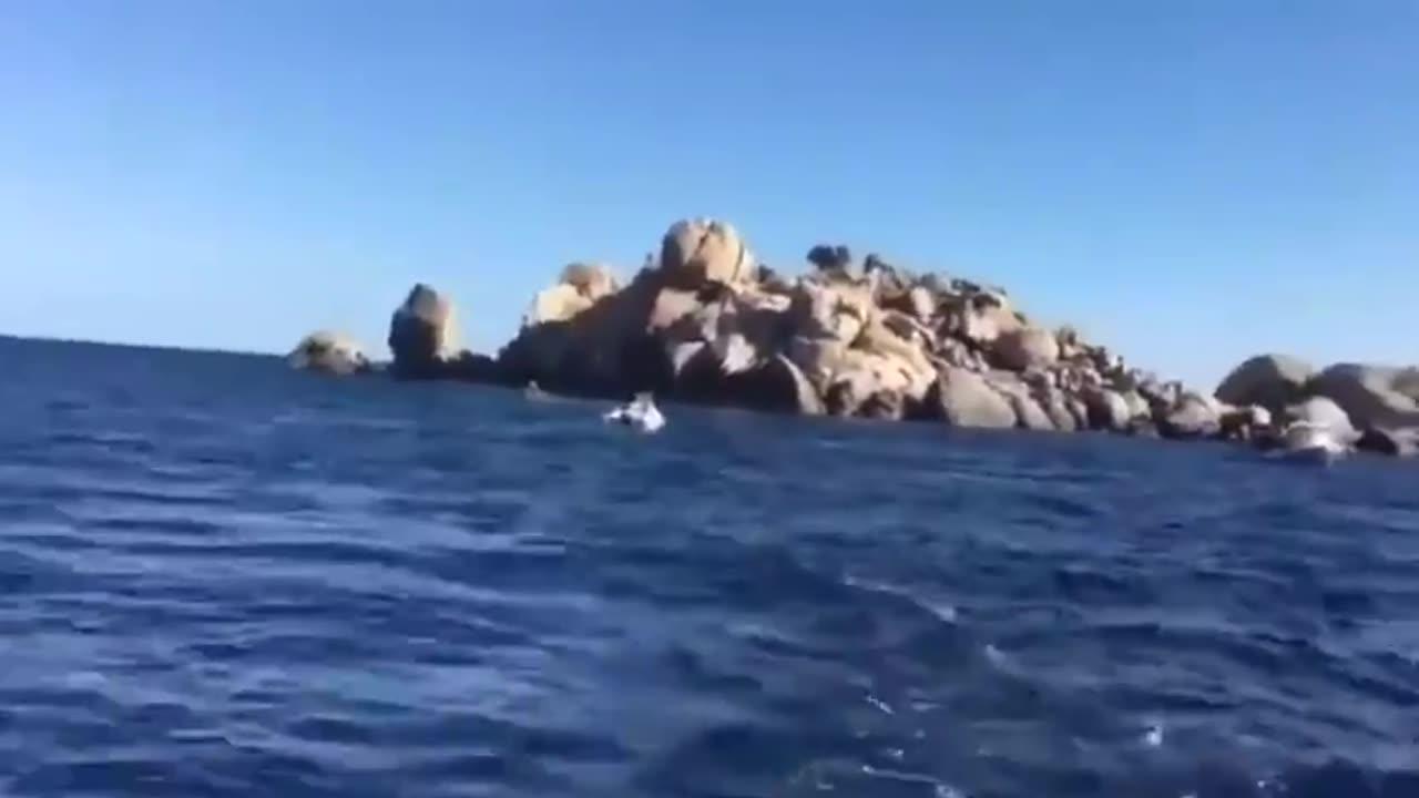 Road rage on the water. It was an "Ocean - One News Page VIDEO