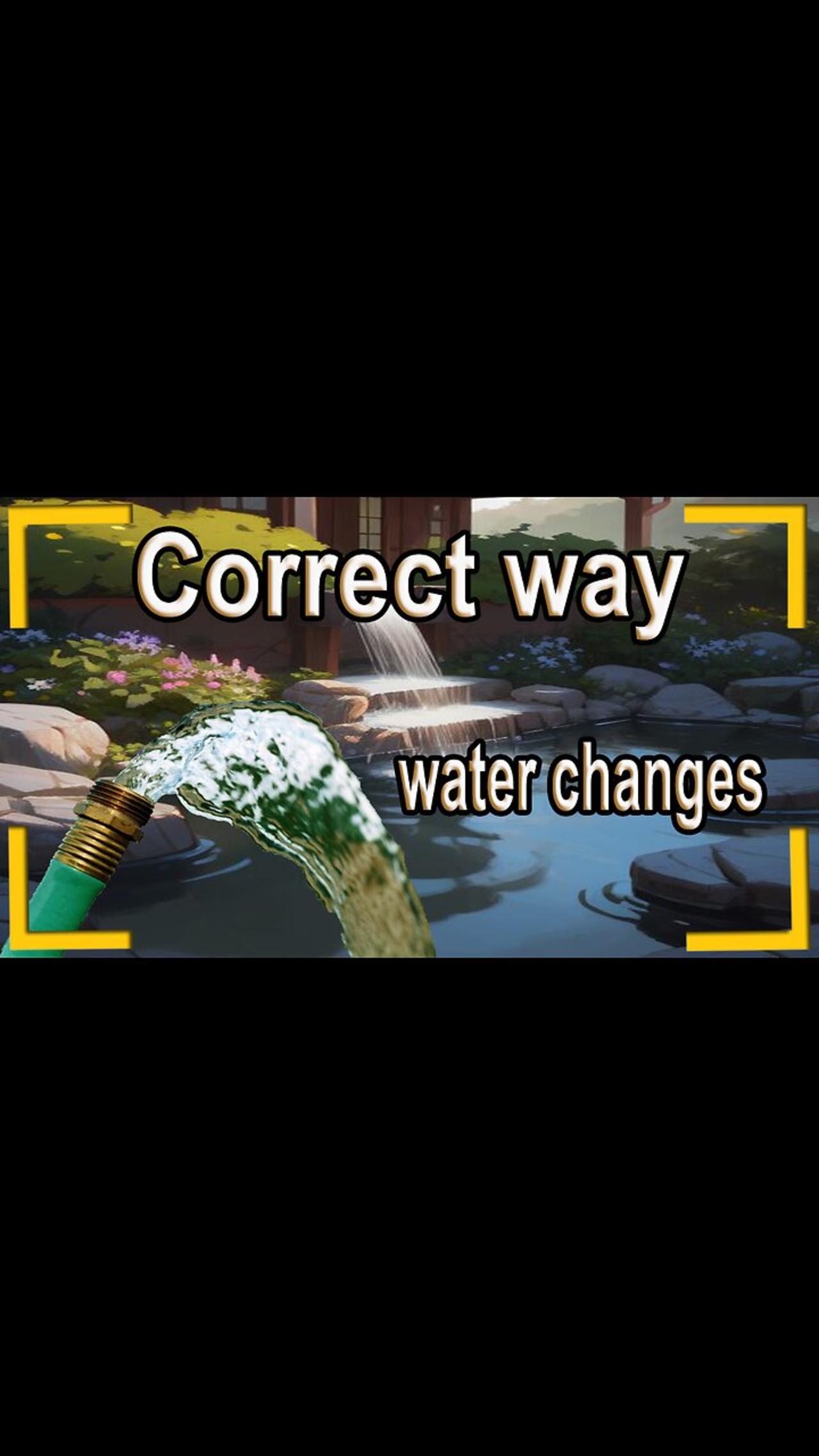 The correct way to do water changes - One News Page VIDEO