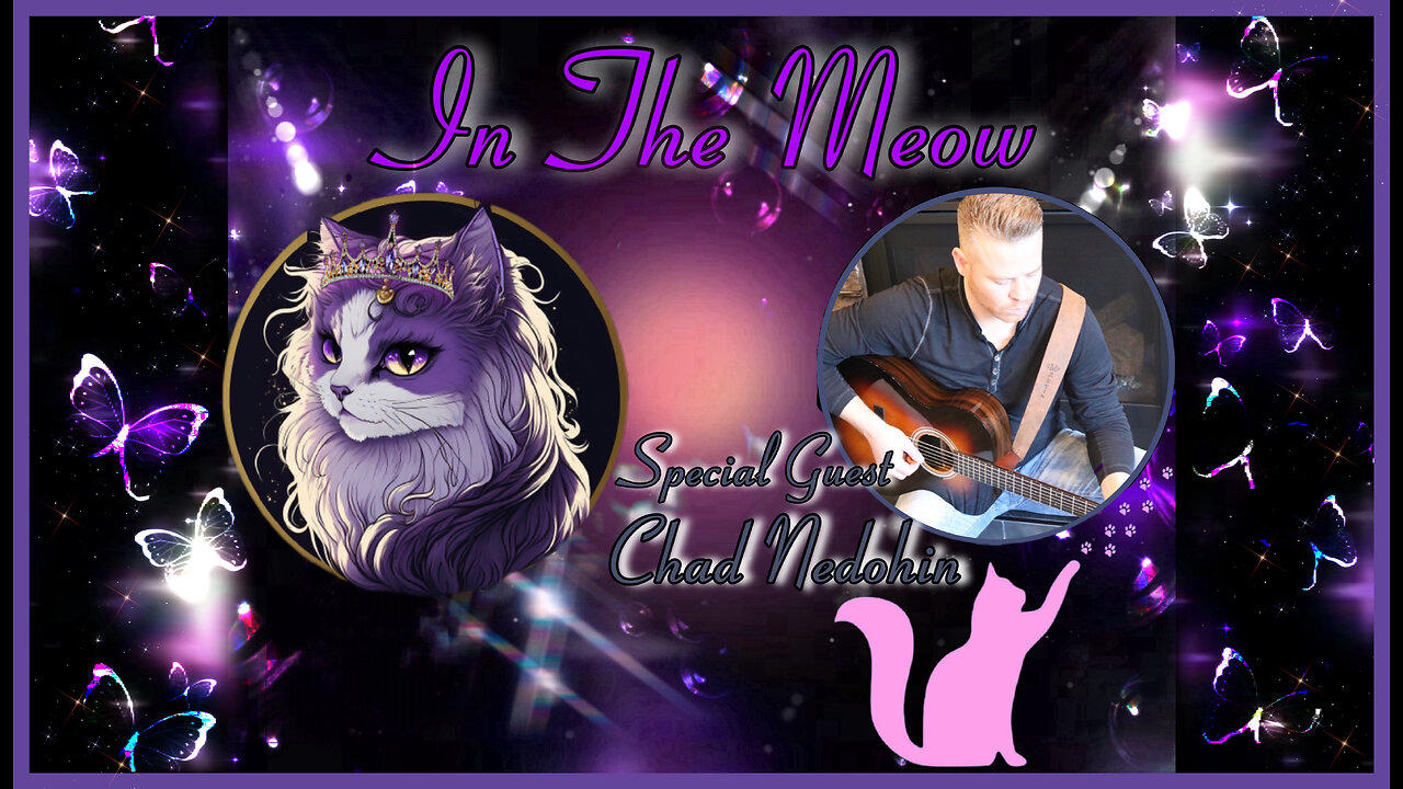 In The Meow | With Special Guest Chad Nedohin - One News Page VIDEO