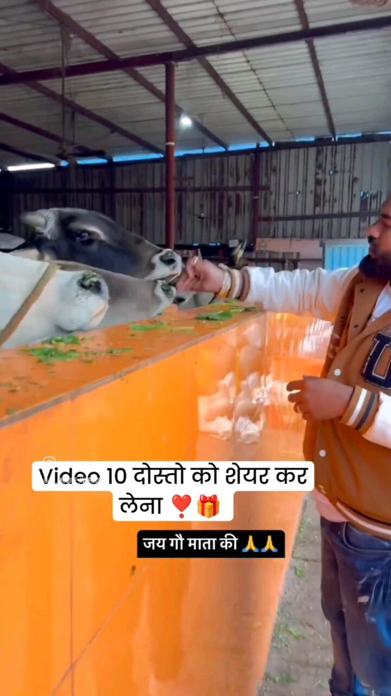 February 5, 2024 - One News Page VIDEO