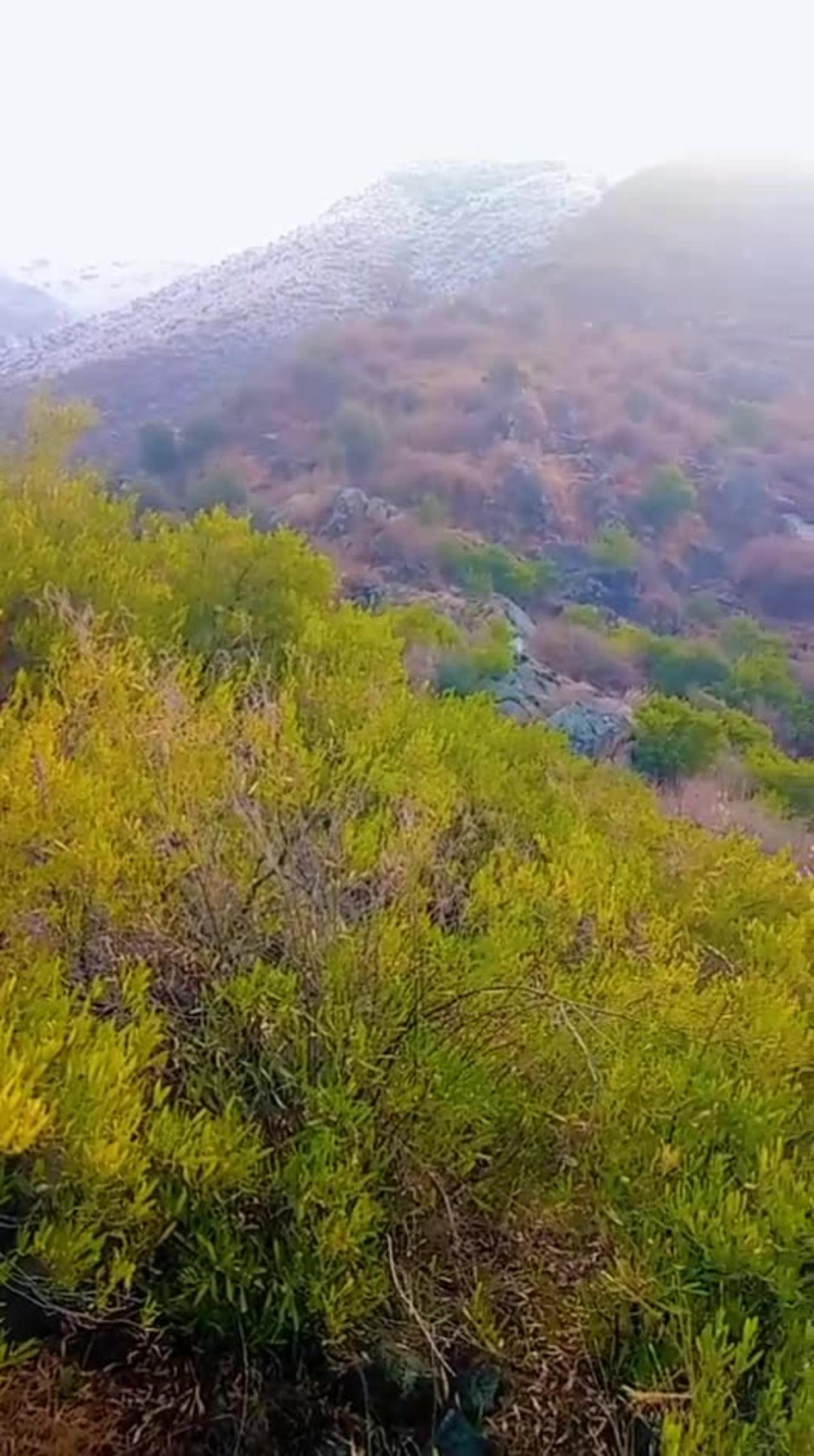 This is the Beauty of Pakistan Kpk Dir lower - One News Page VIDEO